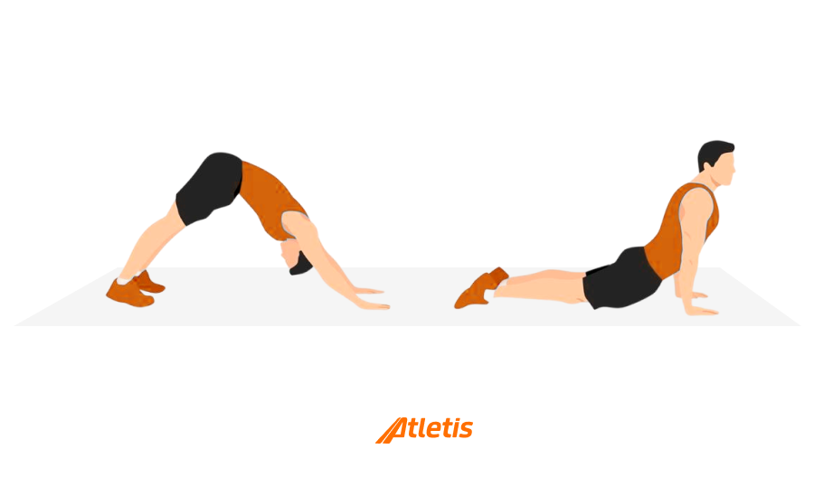 Encontre o Seu Tipo de Flexão do Momento Neste Artigo | Atletis Blog